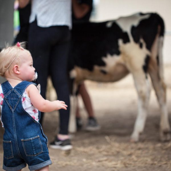 Private Farm Tour - Farm Animal Refuge