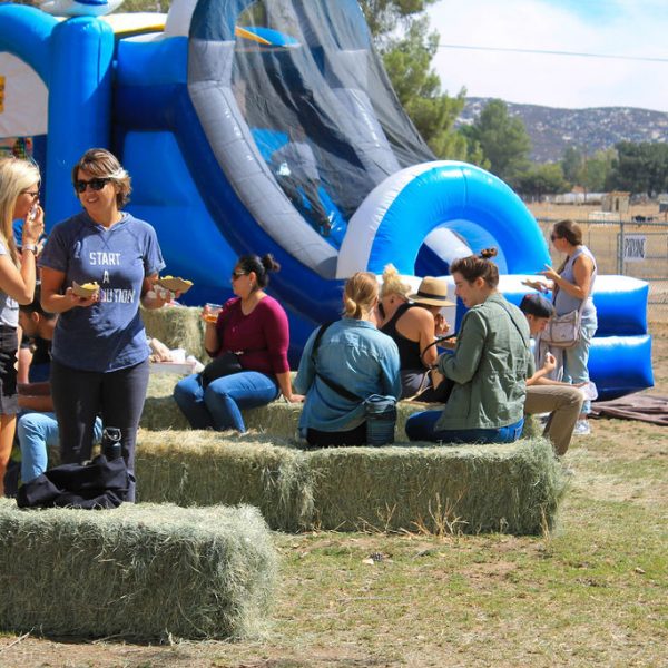 Private Farm Tour - Farm Animal Refuge